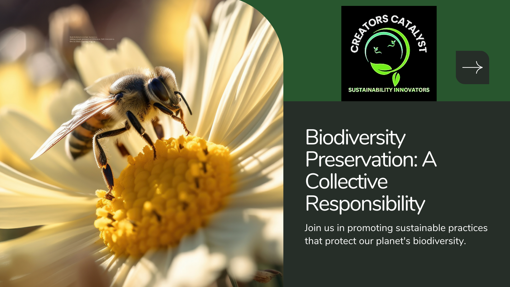 Creators Catalyst - Sustainability Innovators - Sustainability Innovators